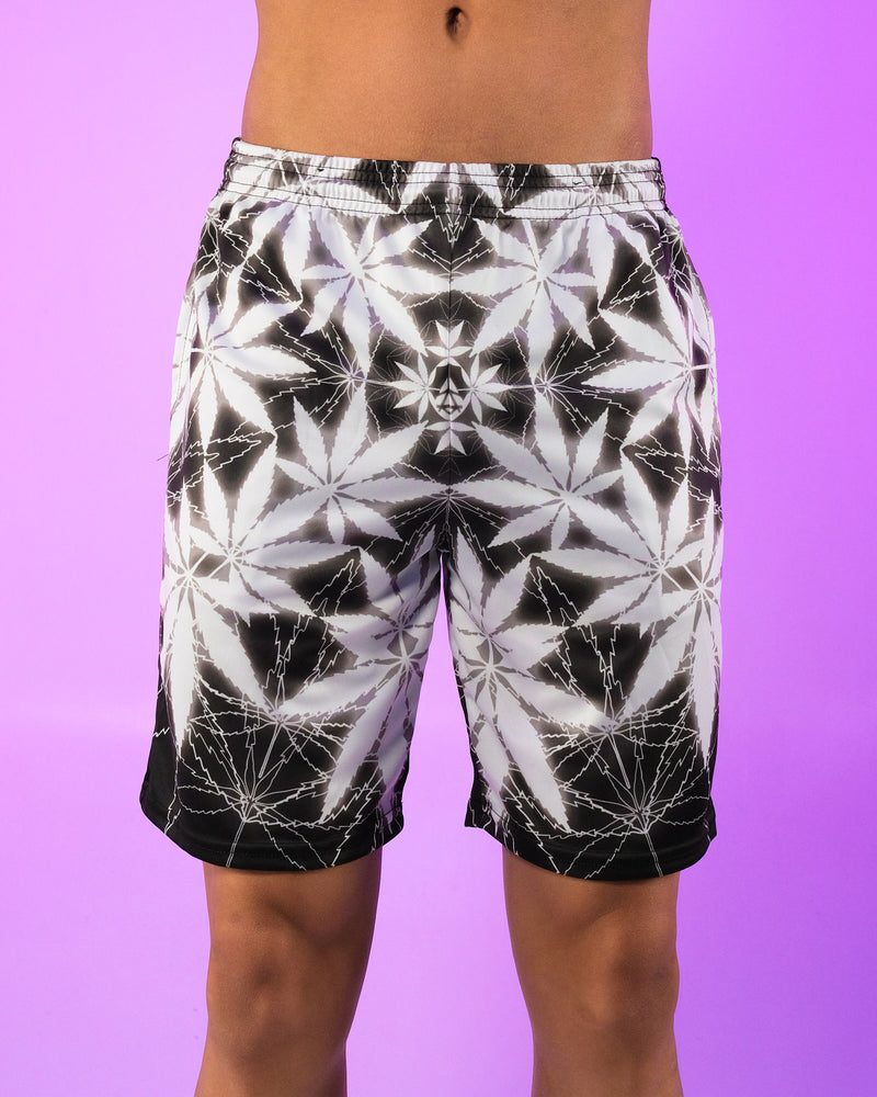 WOOK STARTER PACK – Rave Wonderland